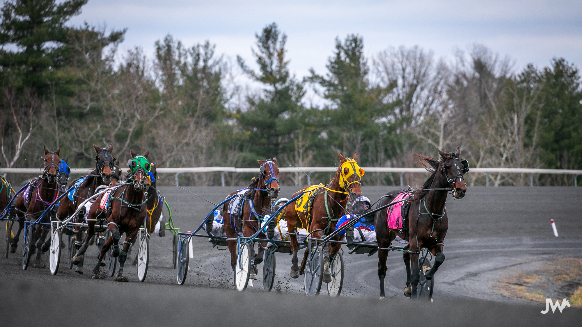 Horse Ownership - Ontario Racing