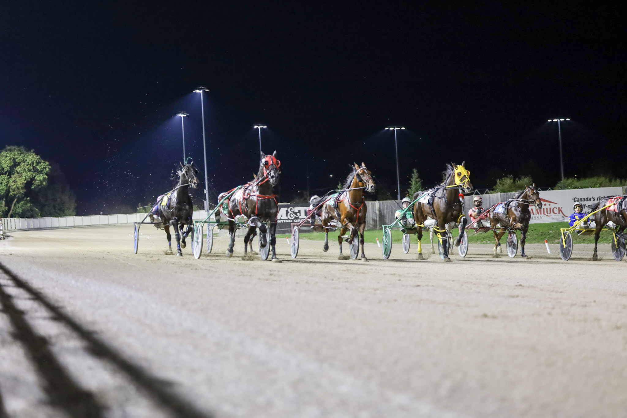 Bet Now – Horse Racing | Ontario Racing - Ontario Racing