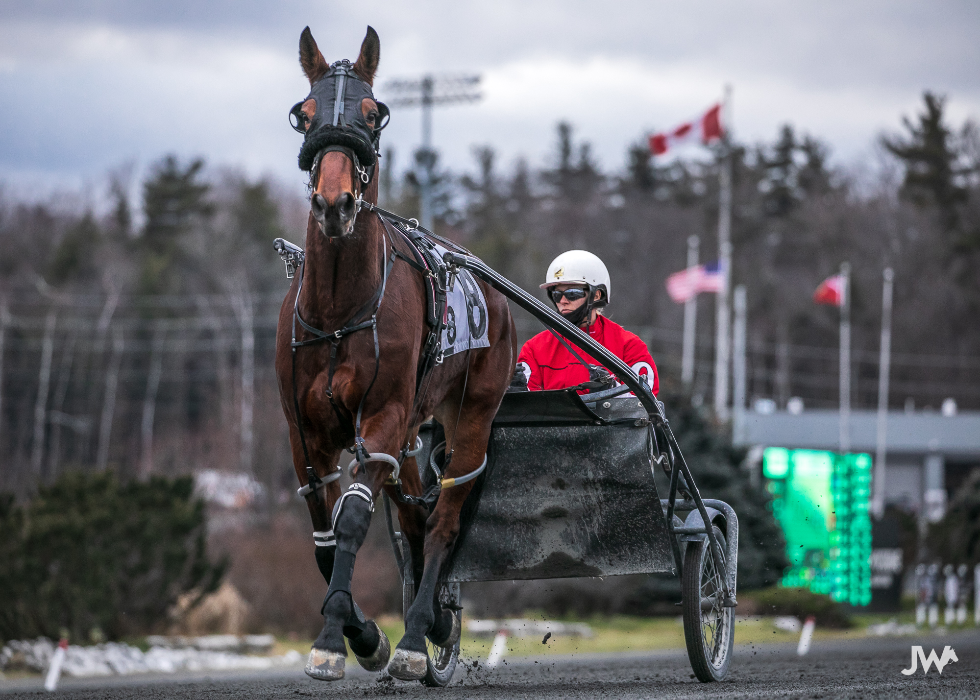 Horse Ownership - Ontario Racing