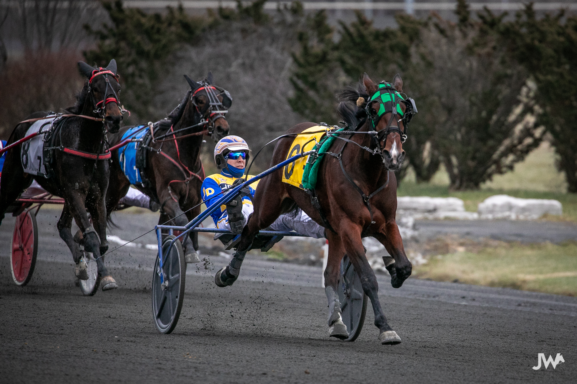 Bet Now – Horse Racing | Ontario Racing - Ontario Racing