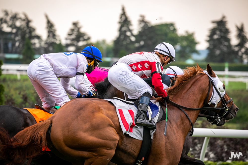 Bet Now – Horse Racing | Ontario Racing - Ontario Racing