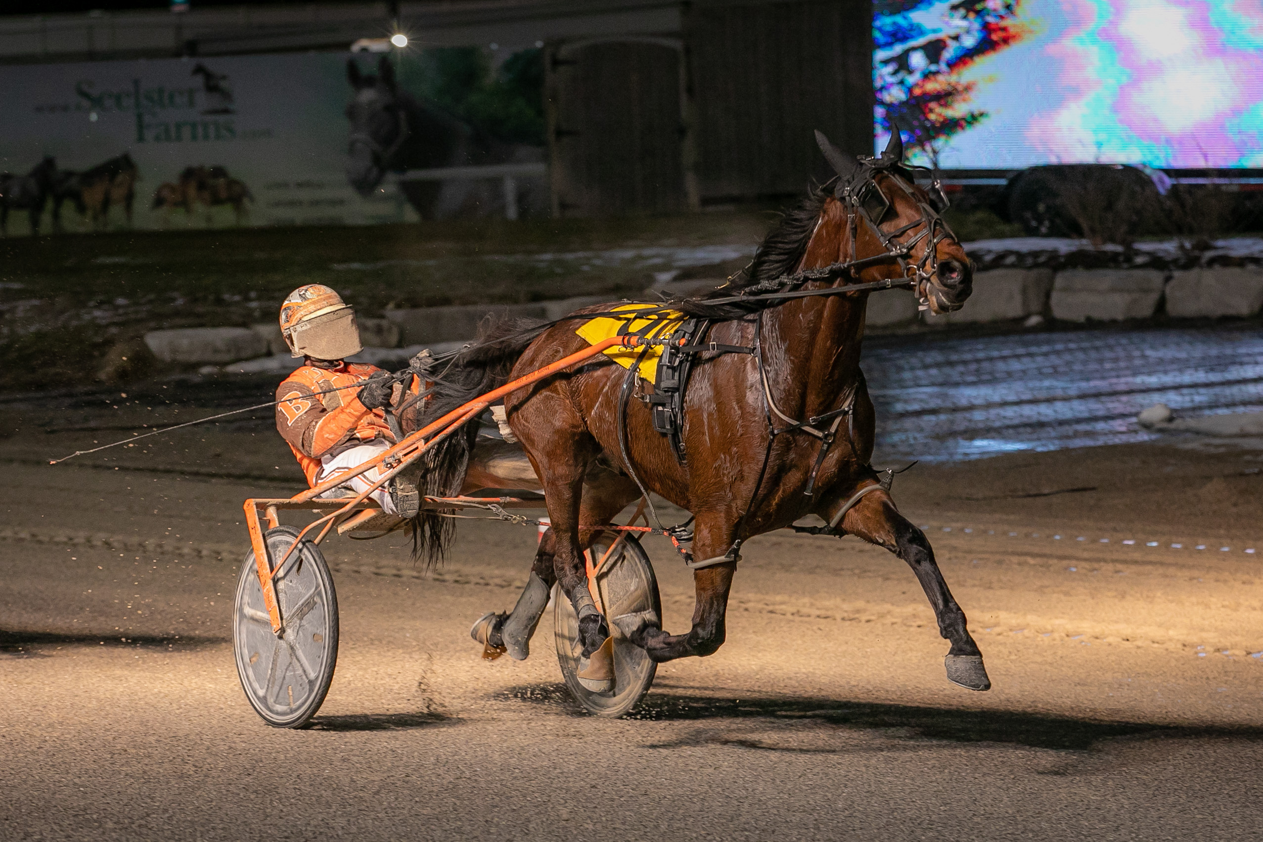 Bet Now – Horse Racing | Ontario Racing - Ontario Racing