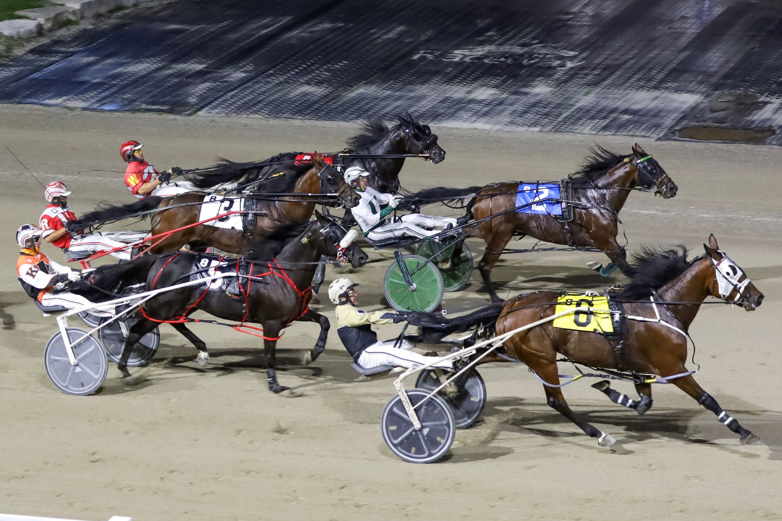 Bet Now – Horse Racing | Ontario Racing - Ontario Racing