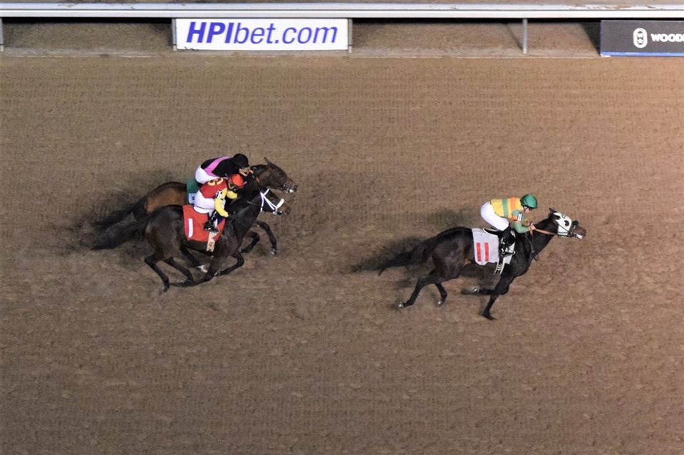 Bet Now – Horse Racing | Ontario Racing - Ontario Racing