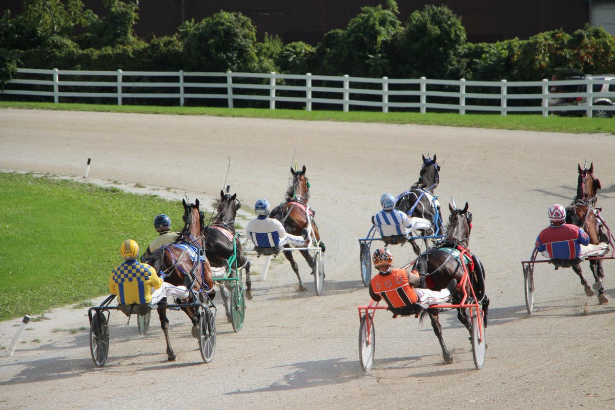 Bet Now – Horse Racing | Ontario Racing - Ontario Racing