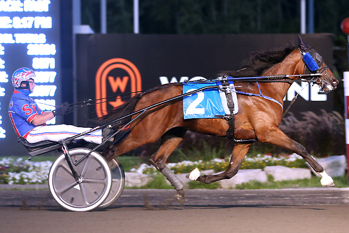 Freshman trotting colts finding their groove in Grassroots - Ontario Racing