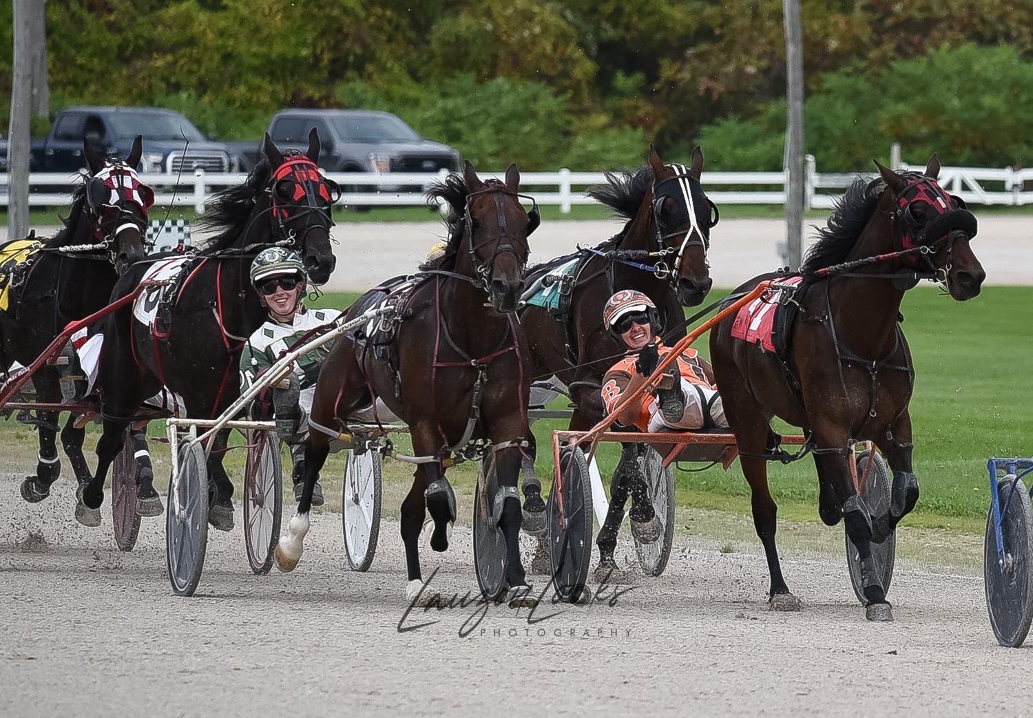 Bet Now – Horse Racing | Ontario Racing - Ontario Racing