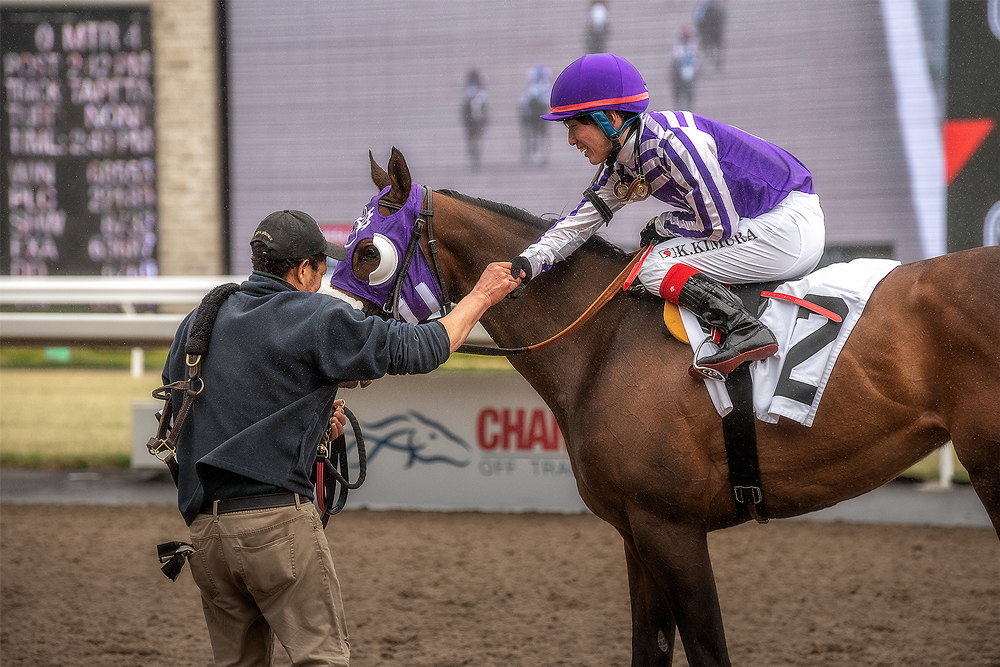 Bet Now – Horse Racing | Ontario Racing - Ontario Racing