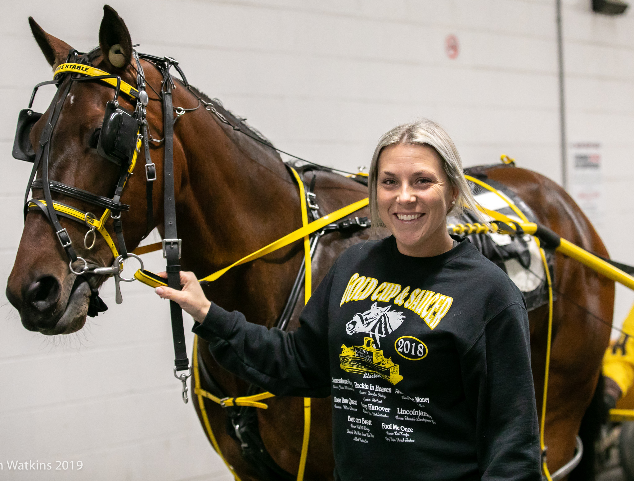 Bet Now – Horse Racing | Ontario Racing - Ontario Racing