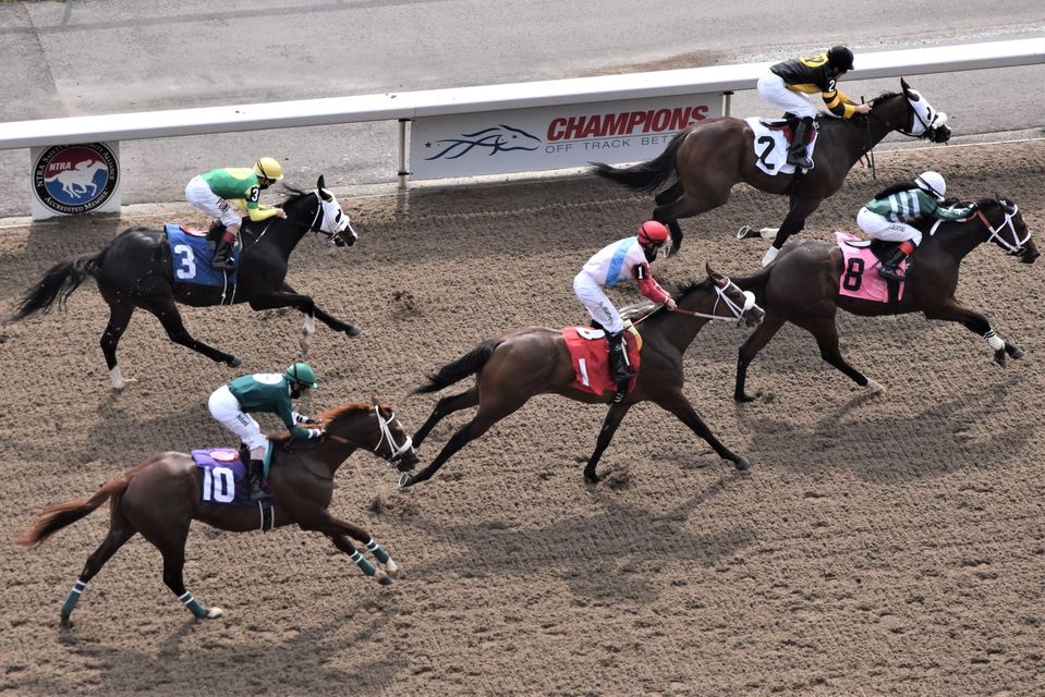 Bet Now – Horse Racing | Ontario Racing - Ontario Racing