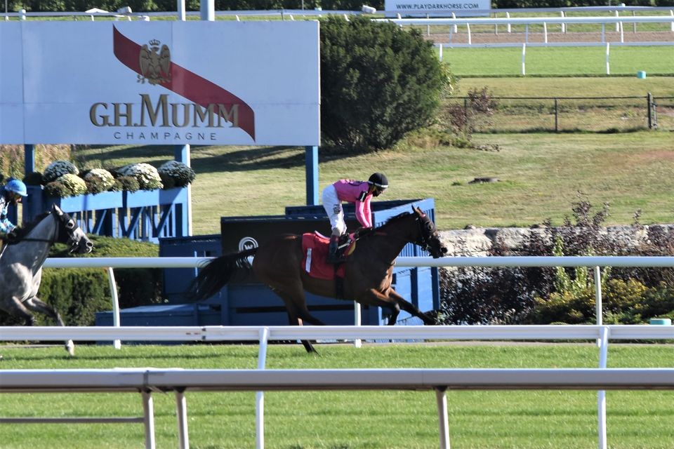 Bet Now – Horse Racing | Ontario Racing - Ontario Racing