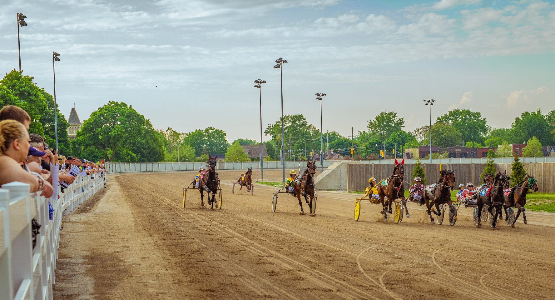 Bet Now – Horse Racing | Ontario Racing - Ontario Racing