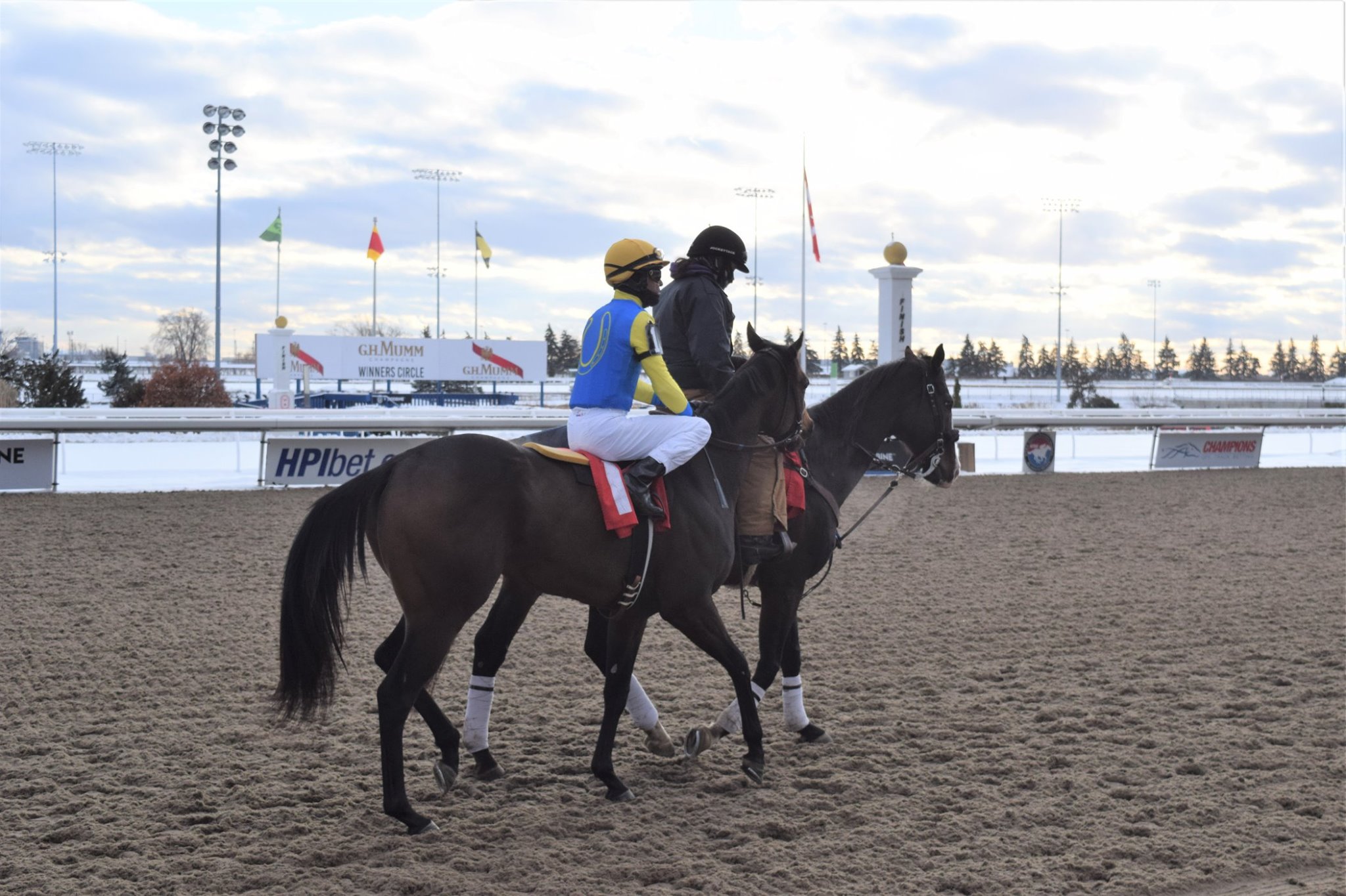 Bet Now – Horse Racing | Ontario Racing - Ontario Racing