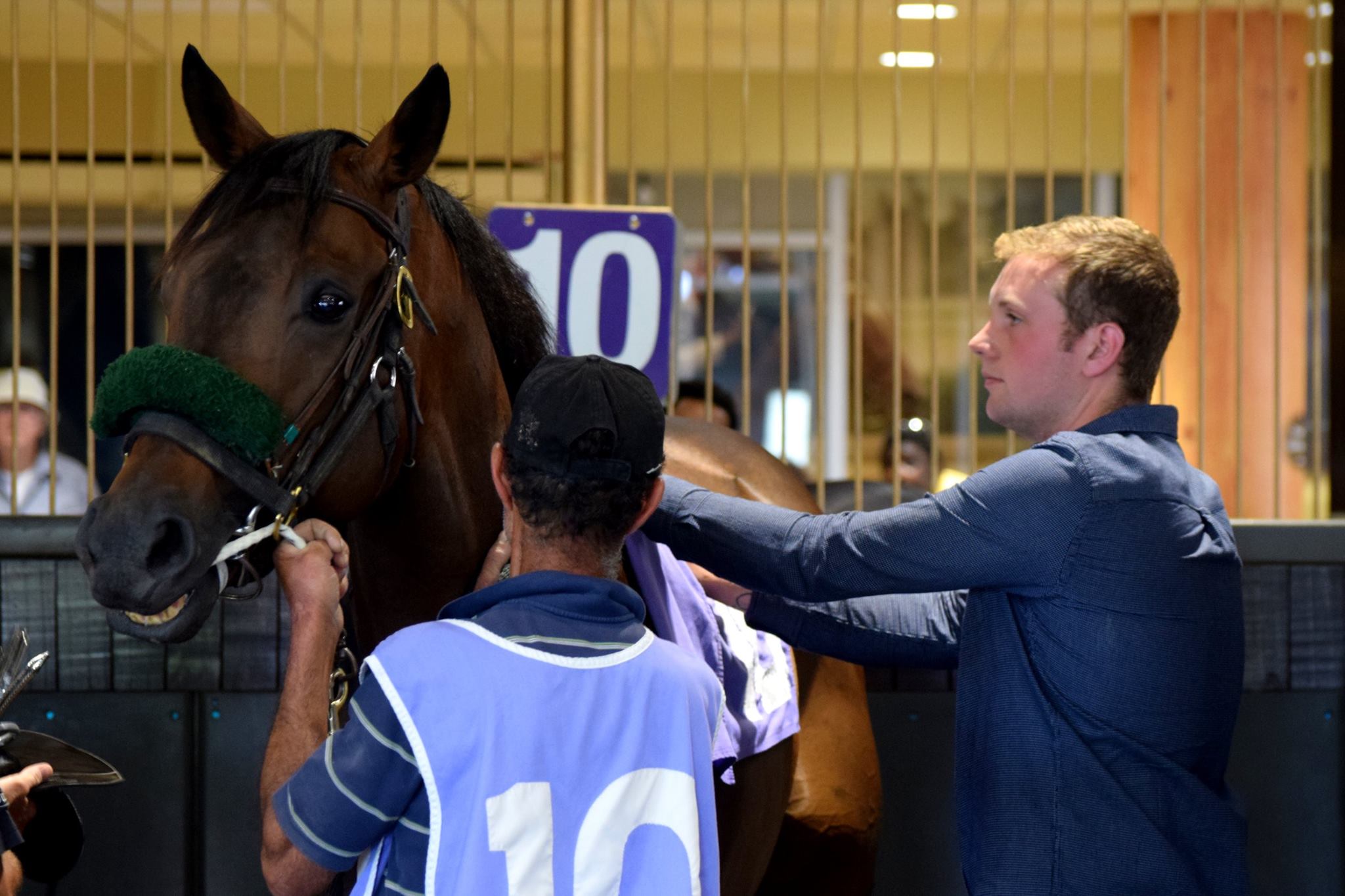 Bet Now – Horse Racing | Ontario Racing - Ontario Racing