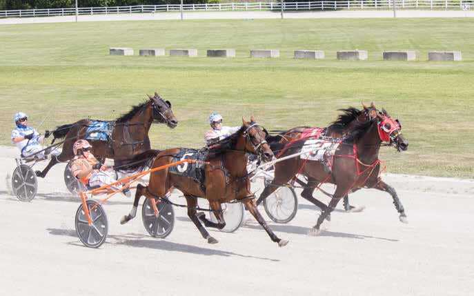 Bet Now – Horse Racing | Ontario Racing - Ontario Racing