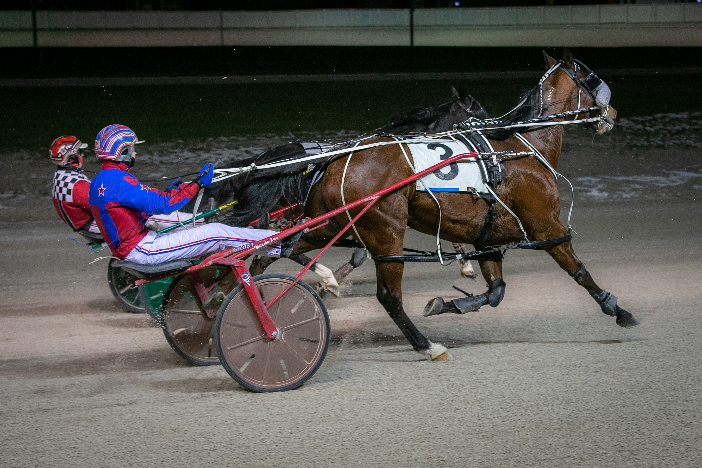 Bet Now – Horse Racing | Ontario Racing - Ontario Racing