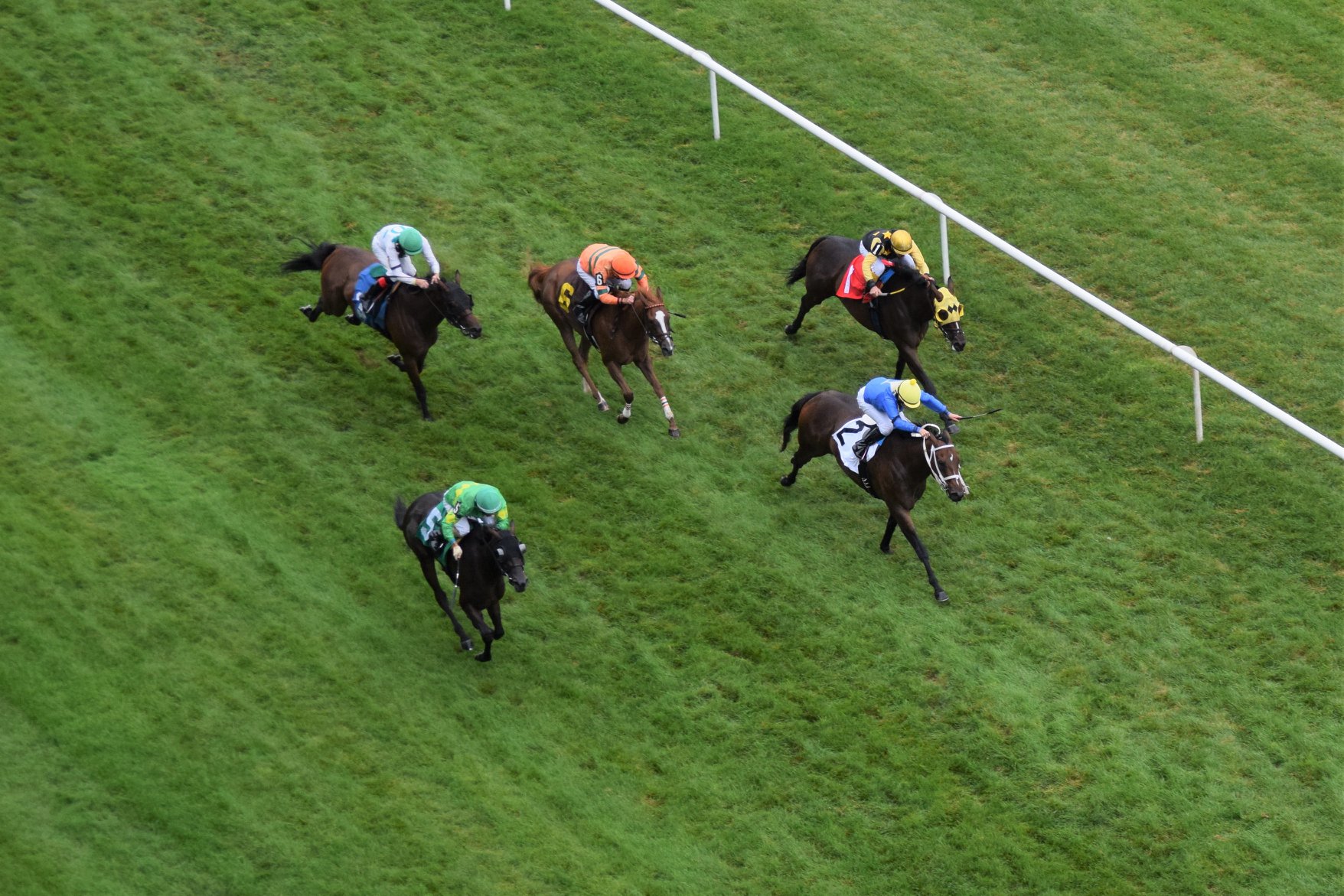 Bet Now – Horse Racing | Ontario Racing - Ontario Racing