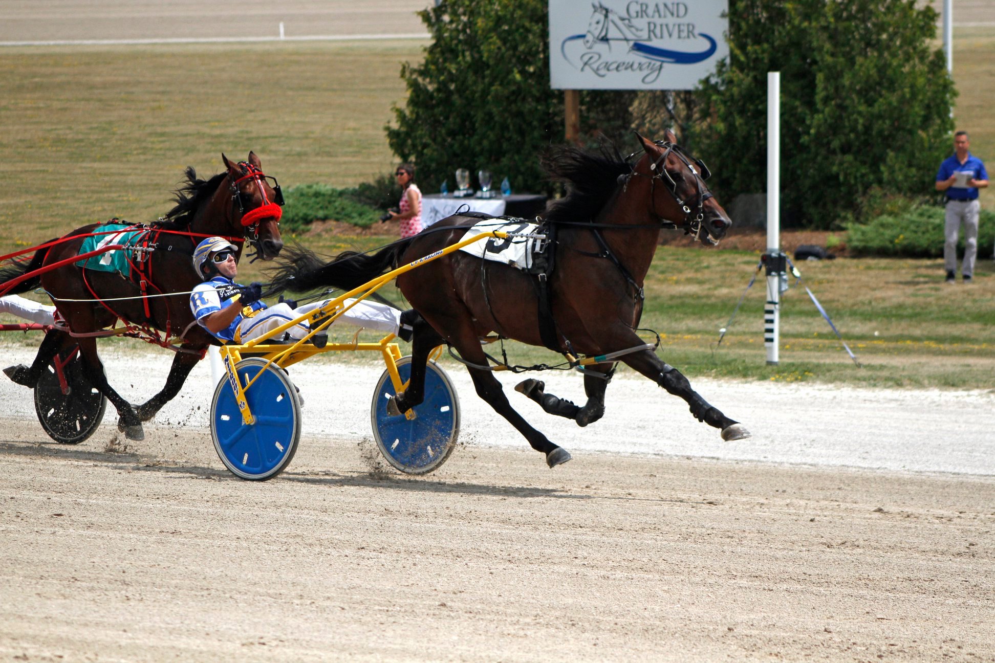 Bet Now – Horse Racing | Ontario Racing - Ontario Racing