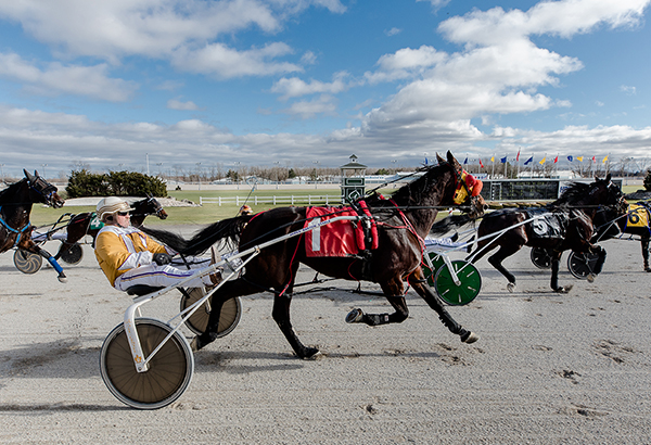 Flamboro Downs - Ontario Racing