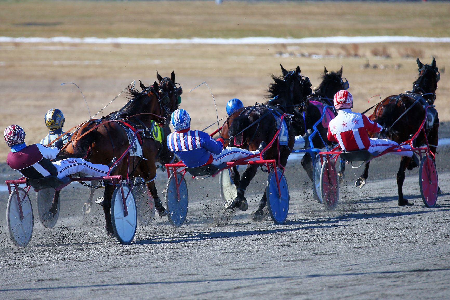 Bet Now – Horse Racing | Ontario Racing - Ontario Racing