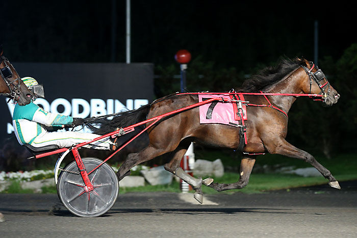 Trotting fillies in spotlight at Flamboro Downs Thursday - Ontario Racing
