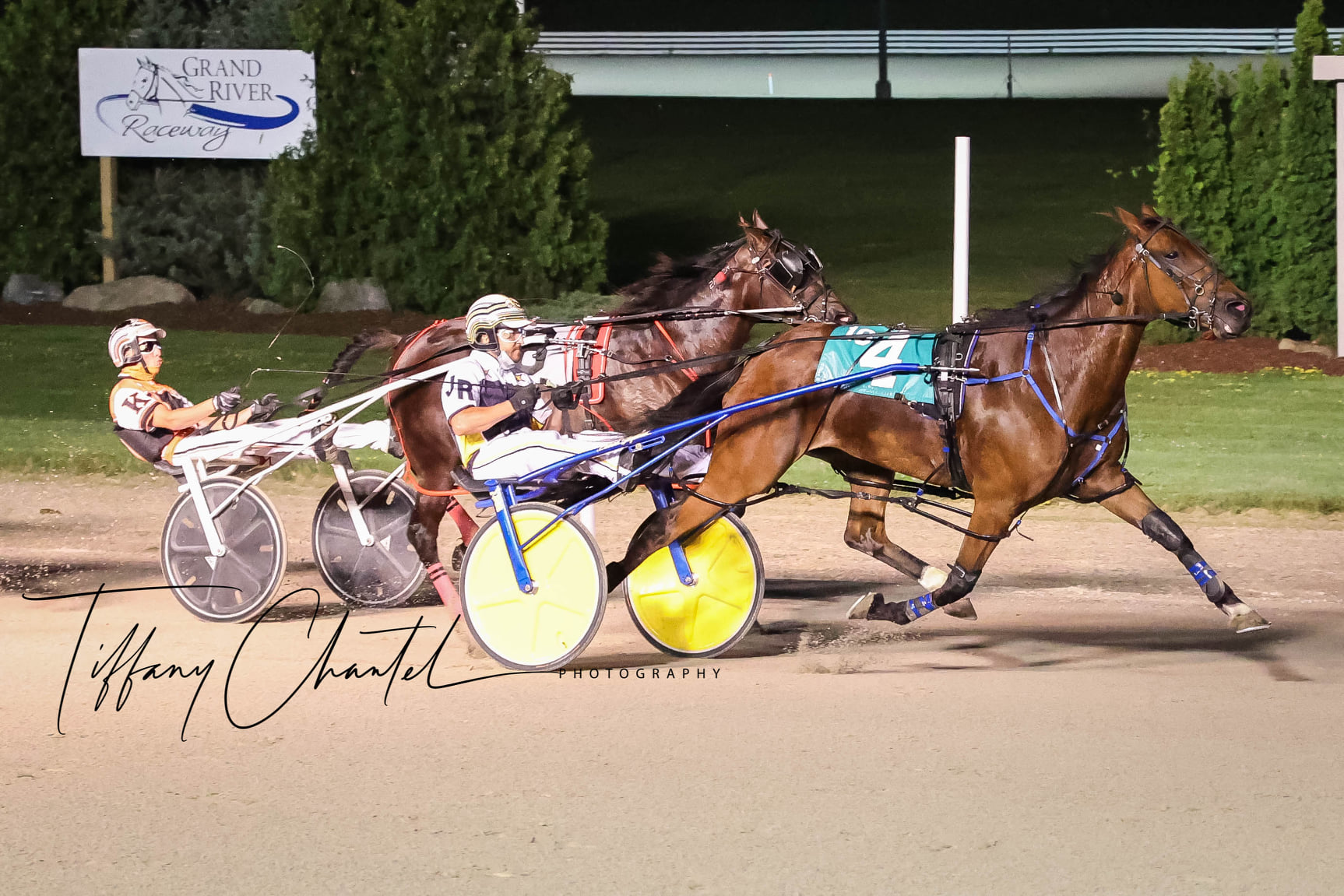 Bet Now – Horse Racing | Ontario Racing - Ontario Racing