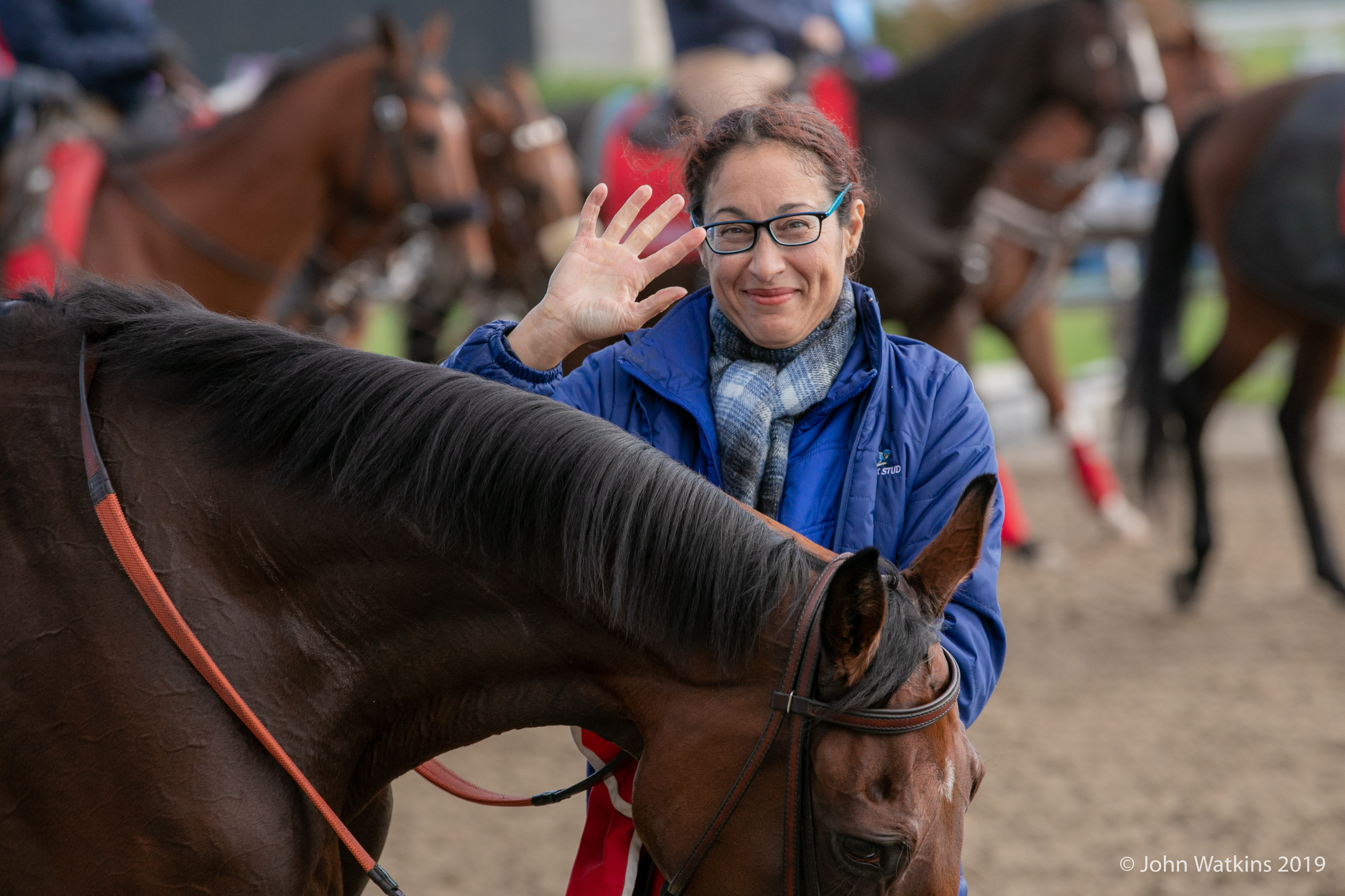 Bet Now – Horse Racing | Ontario Racing - Ontario Racing