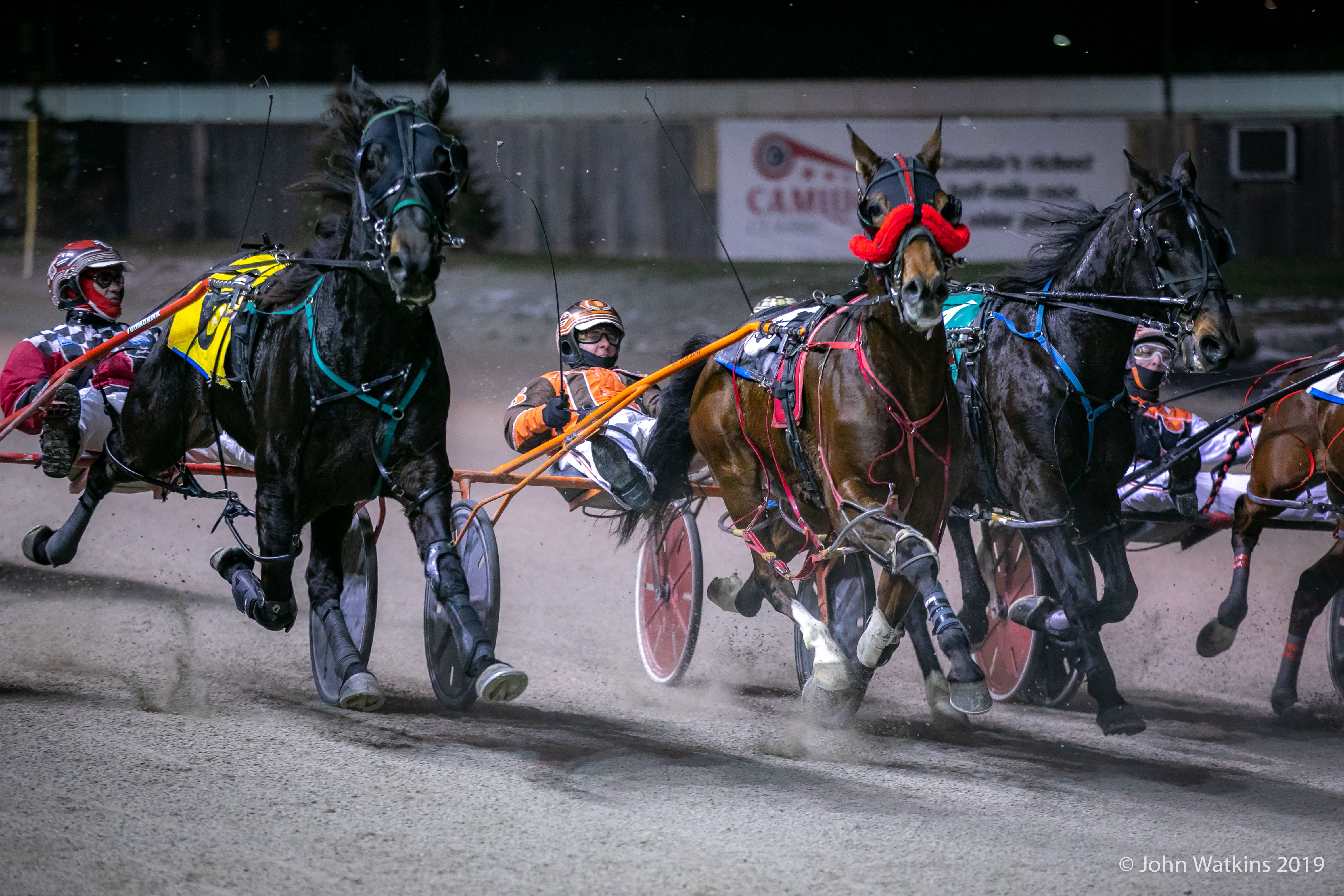 Bet Now – Horse Racing | Ontario Racing - Ontario Racing