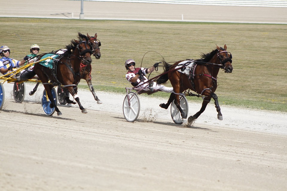 Bet Now – Horse Racing | Ontario Racing - Ontario Racing