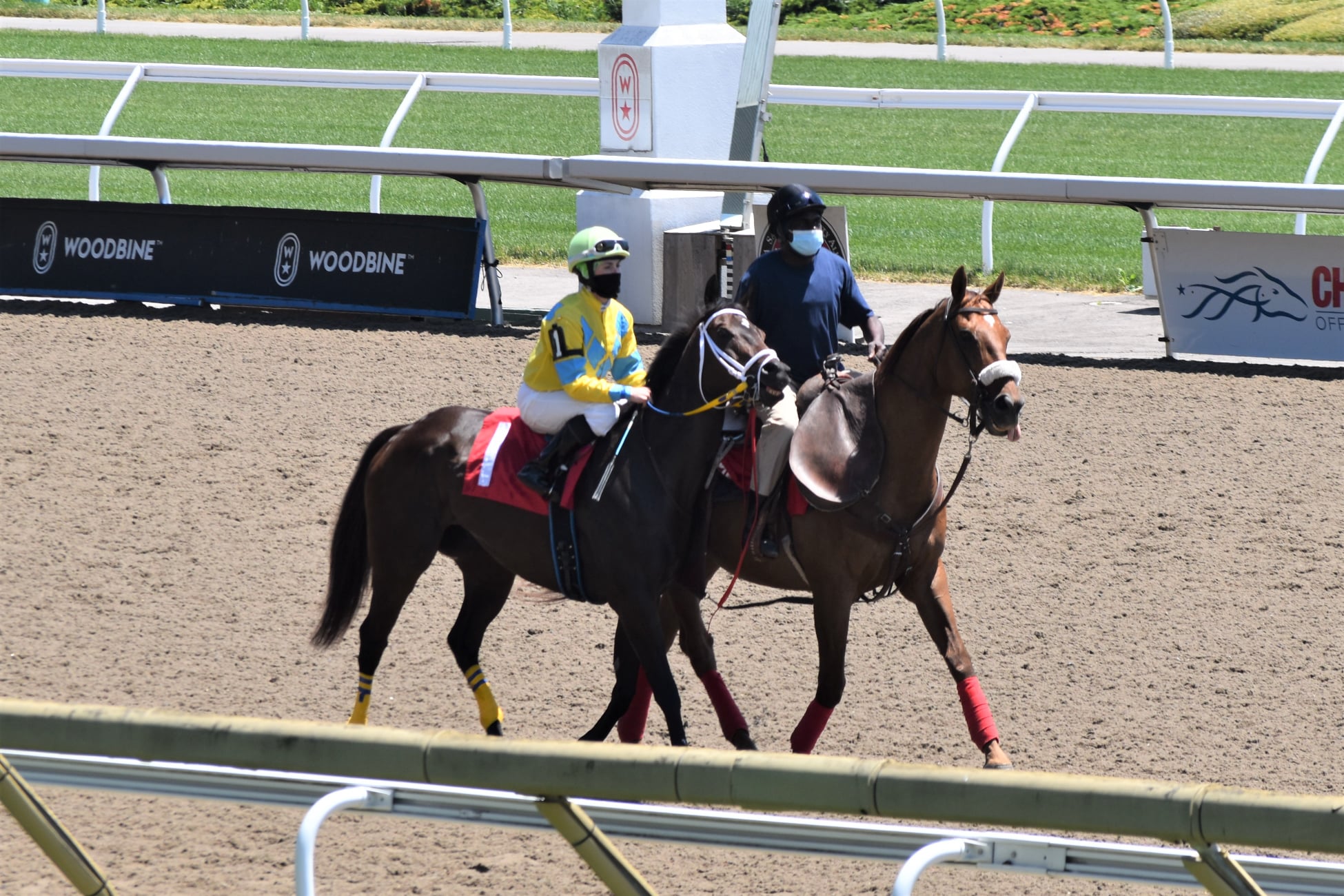 Bet Now – Horse Racing | Ontario Racing - Ontario Racing