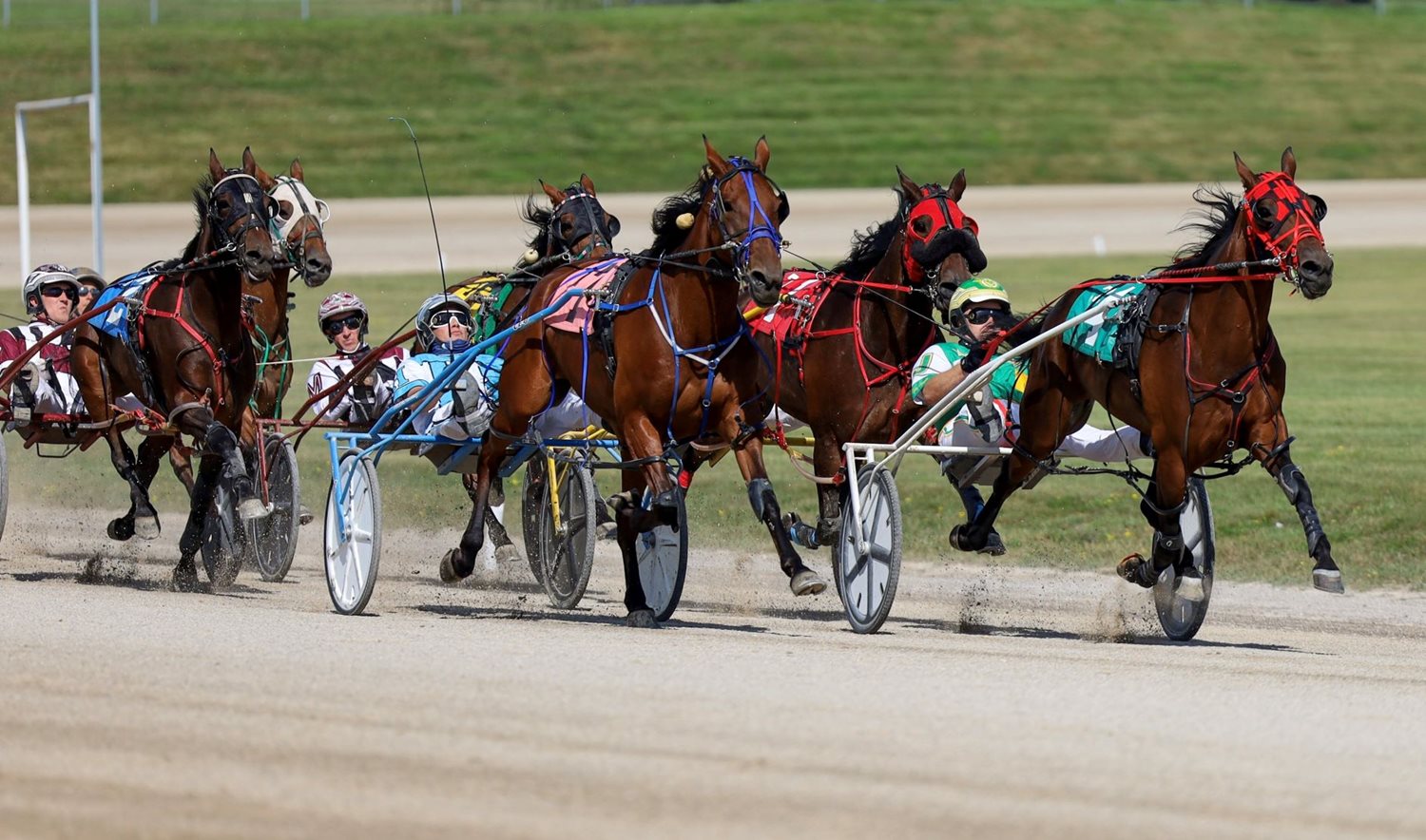 Bet Now – Horse Racing | Ontario Racing - Ontario Racing