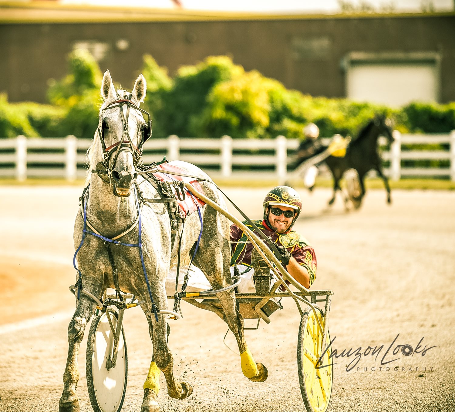 Bet Now – Horse Racing | Ontario Racing - Ontario Racing