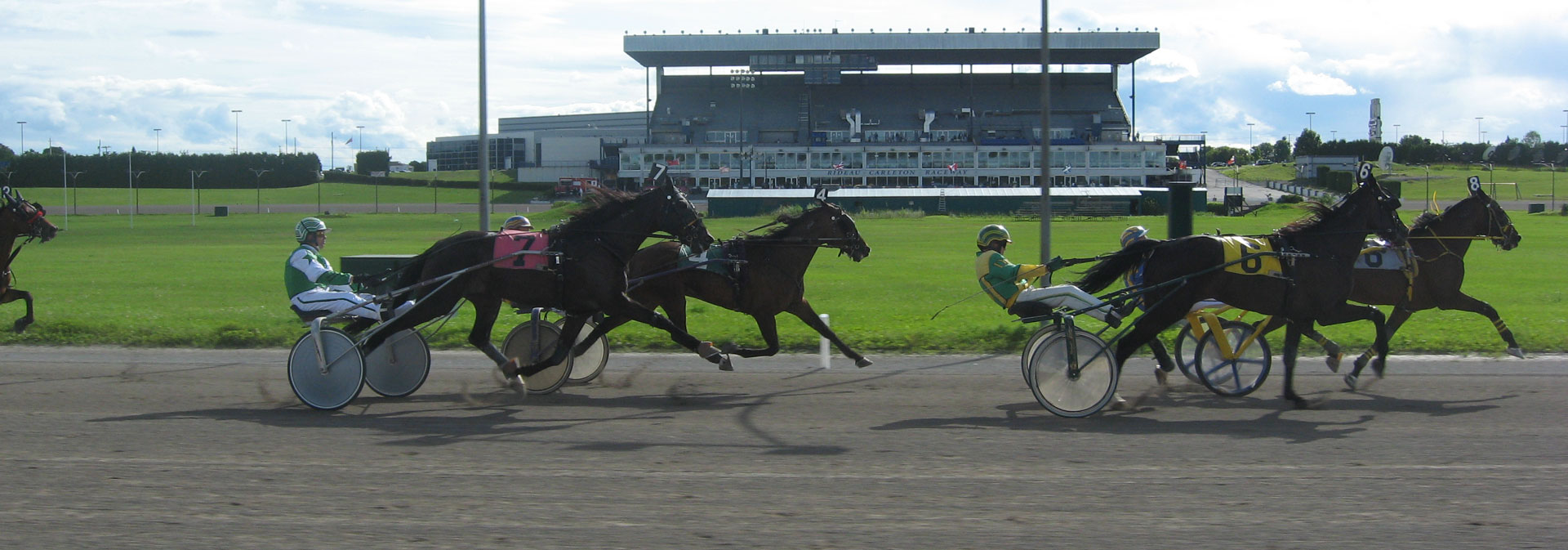 Bet Now – Horse Racing | Ontario Racing - Ontario Racing