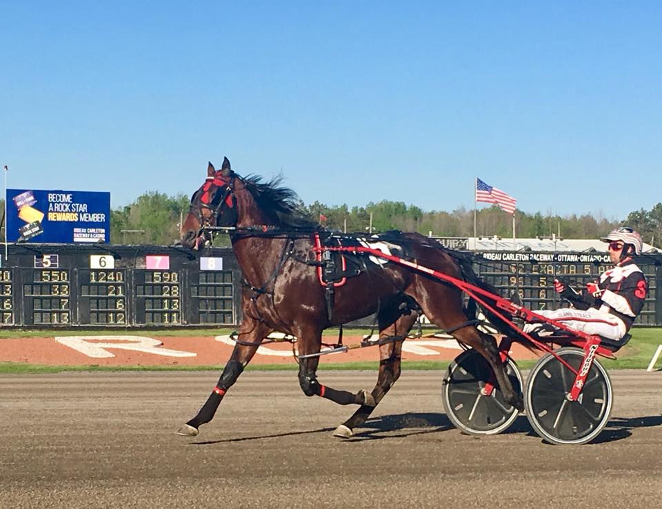 Bet Now – Horse Racing | Ontario Racing - Ontario Racing