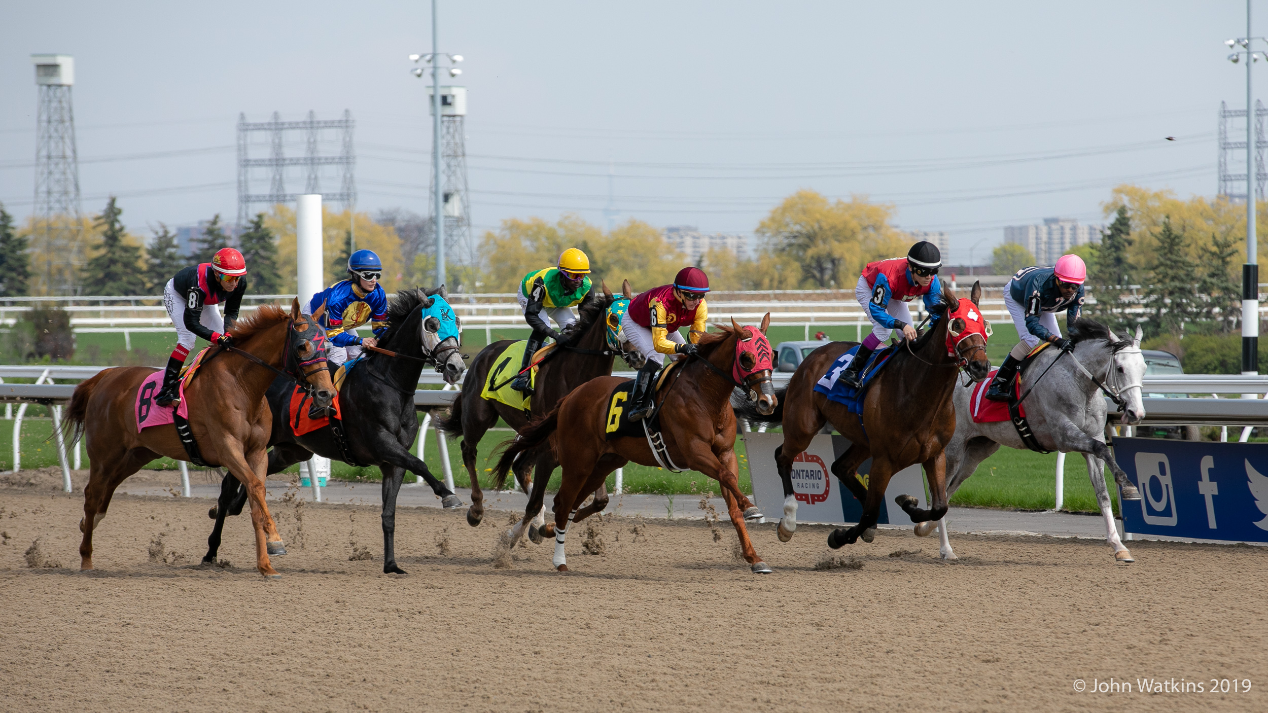 Bet Now – Horse Racing | Ontario Racing - Ontario Racing