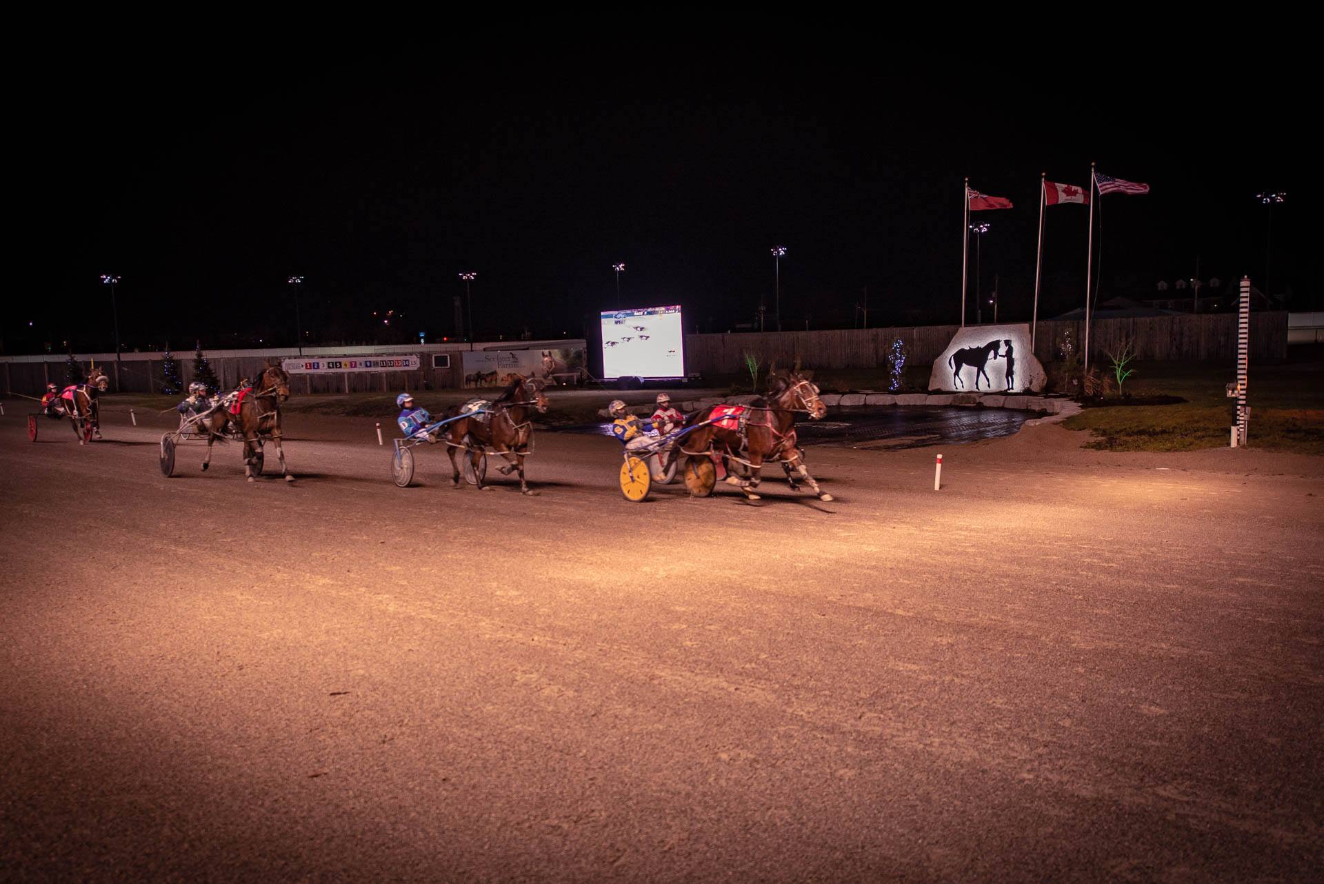 Bet Now – Horse Racing | Ontario Racing - Ontario Racing