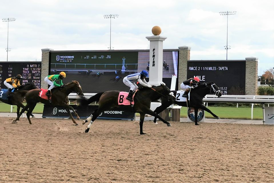 Bet Now – Horse Racing | Ontario Racing - Ontario Racing