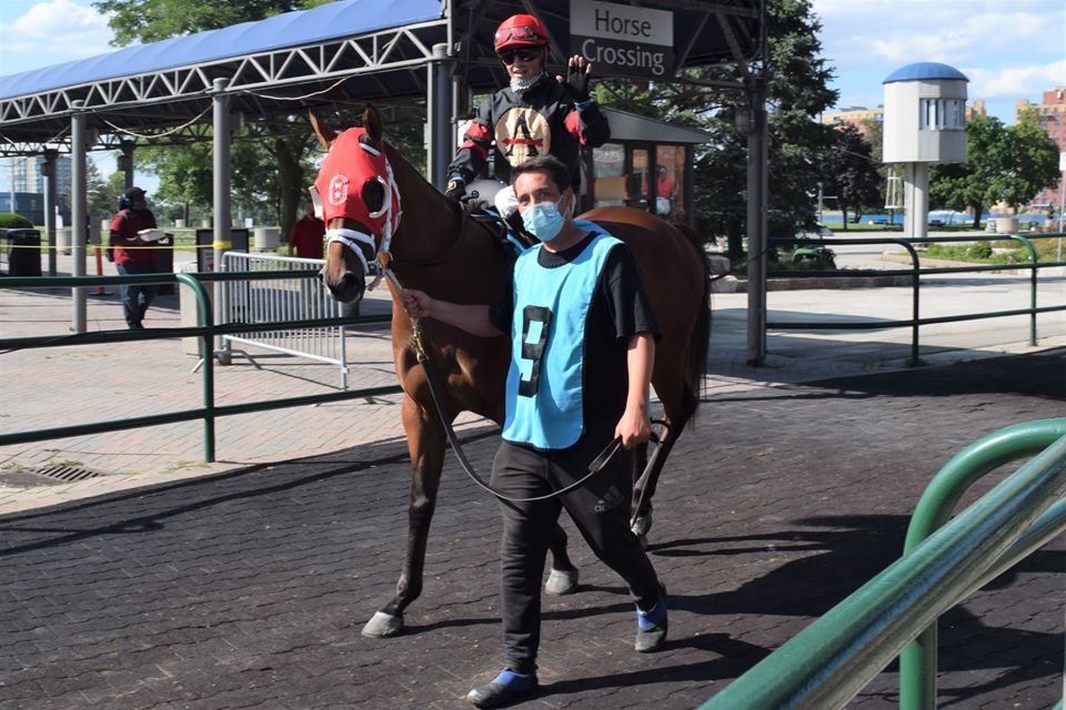 Bet Now – Horse Racing | Ontario Racing - Ontario Racing