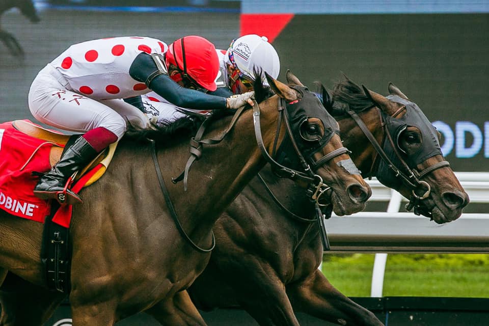 Bet Now – Horse Racing | Ontario Racing - Ontario Racing