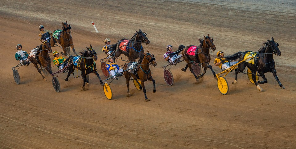 Bet Now – Horse Racing | Ontario Racing - Ontario Racing