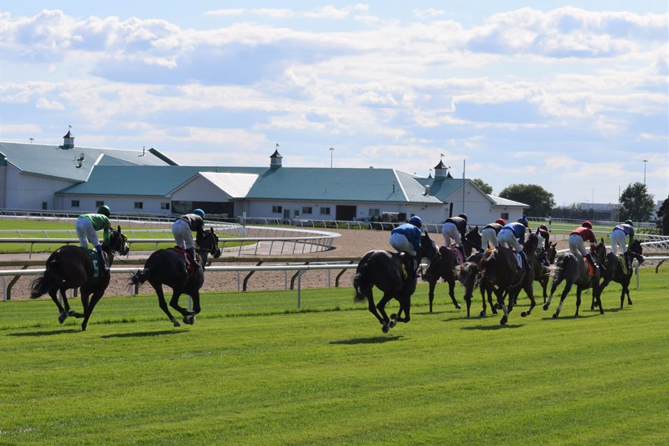 Bet Now – Horse Racing | Ontario Racing - Ontario Racing