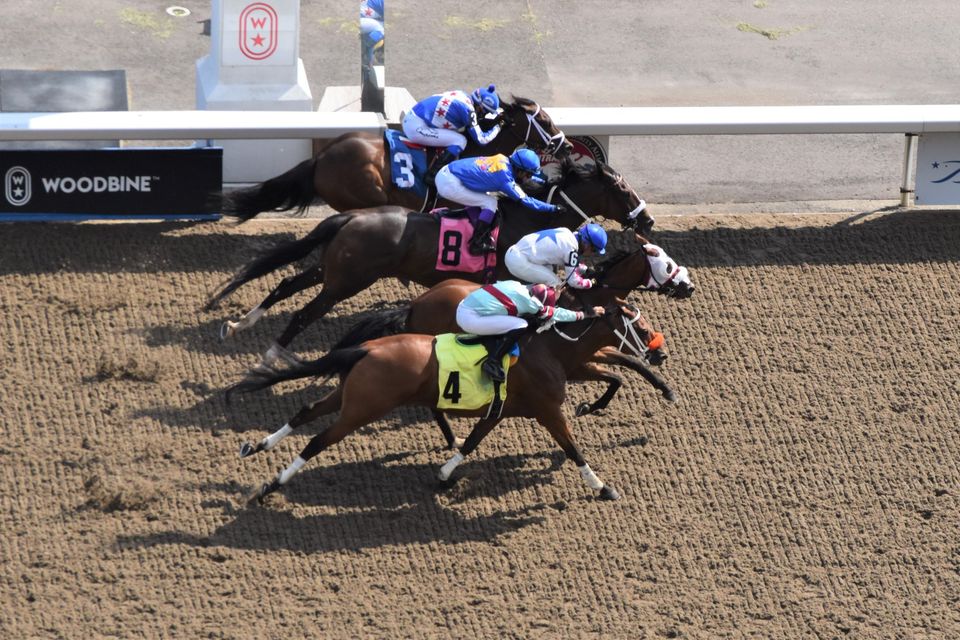 Bet Now – Horse Racing | Ontario Racing - Ontario Racing