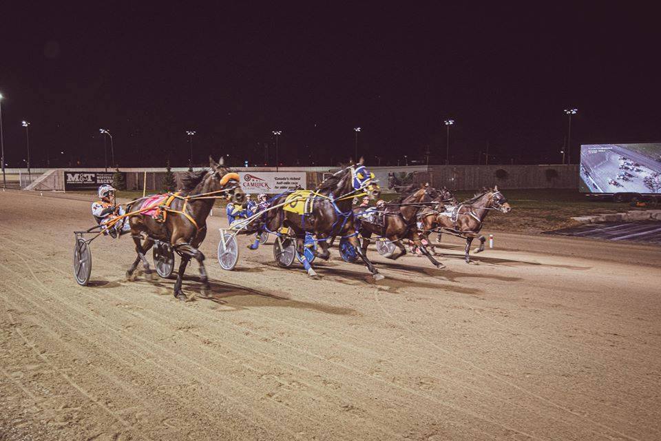 Bet Now – Horse Racing | Ontario Racing - Ontario Racing