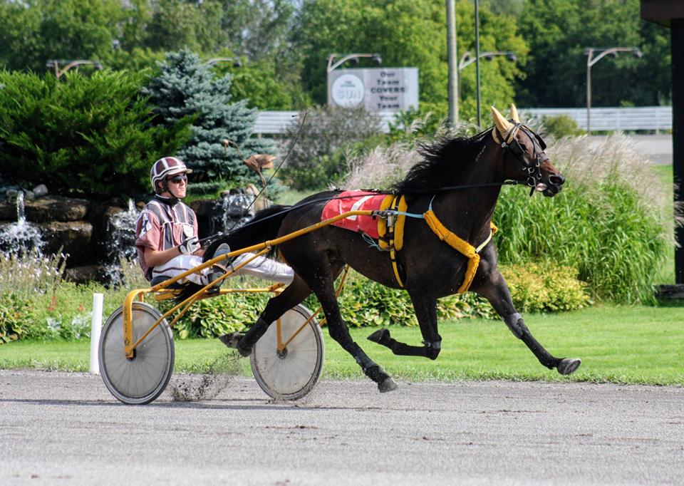 Bet Now – Horse Racing | Ontario Racing - Ontario Racing