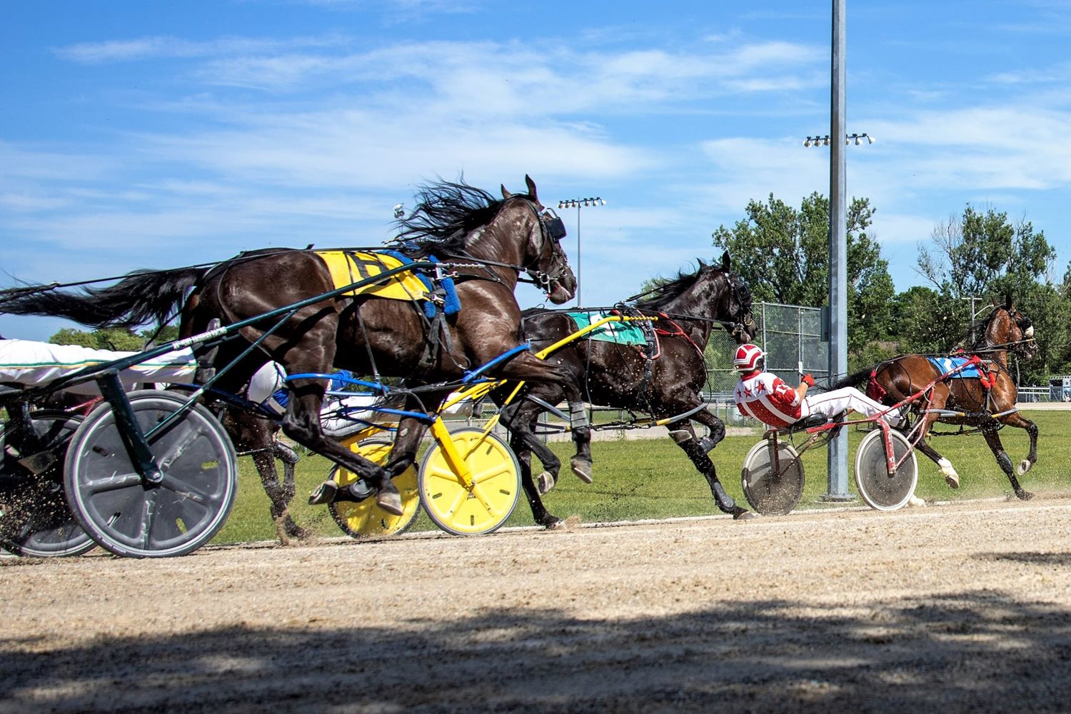 Bet Now – Horse Racing | Ontario Racing - Ontario Racing