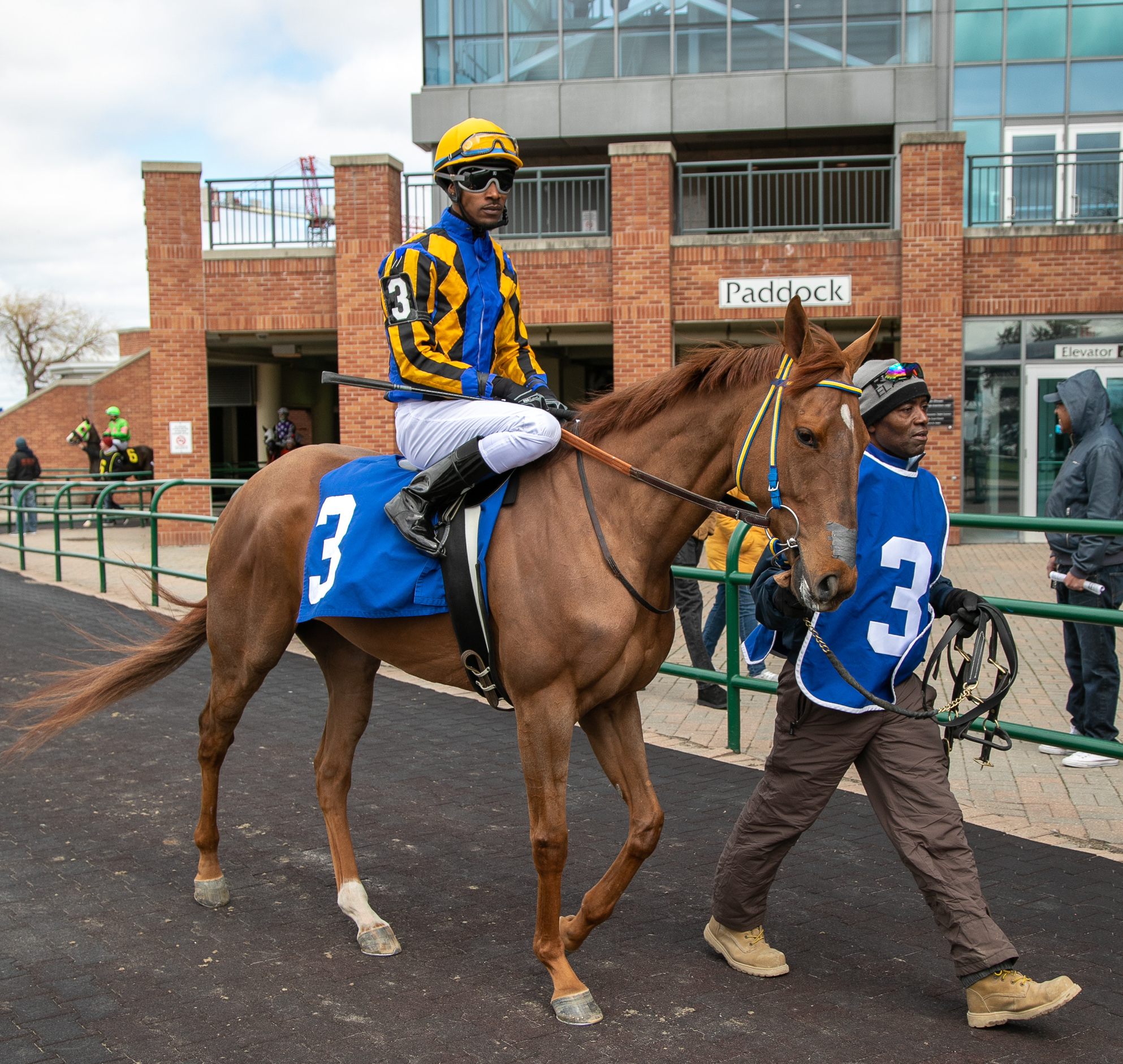 Bet Now – Horse Racing | Ontario Racing - Ontario Racing