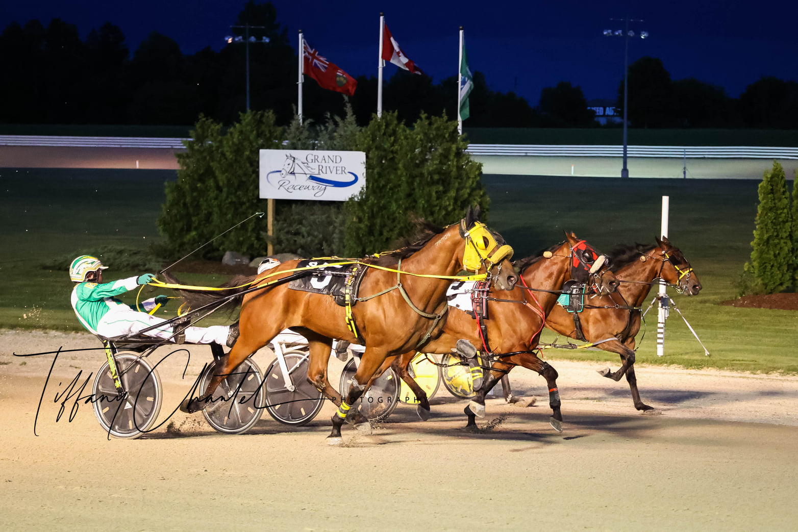 Bet Now – Horse Racing | Ontario Racing - Ontario Racing