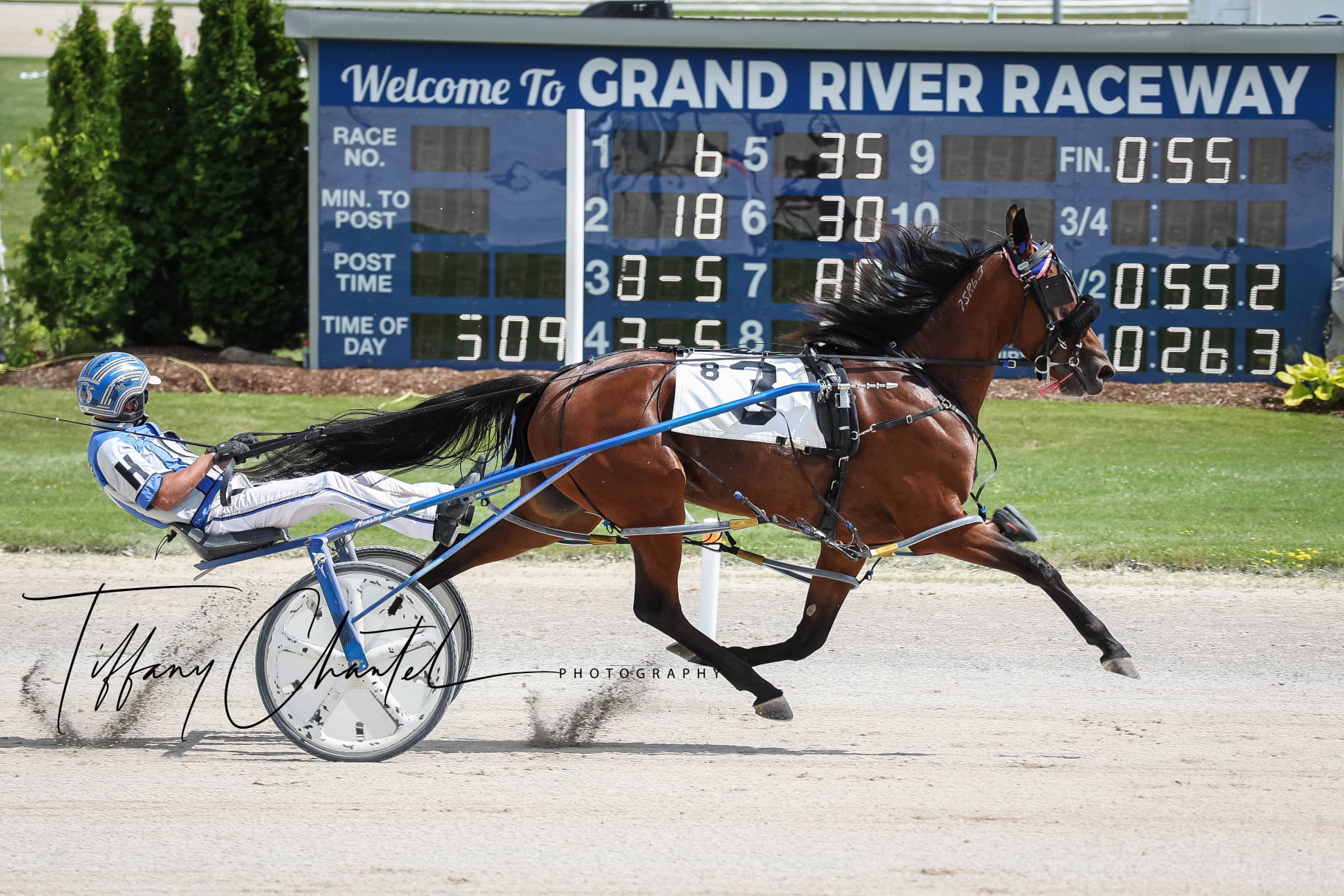 Bet Now – Horse Racing | Ontario Racing - Ontario Racing