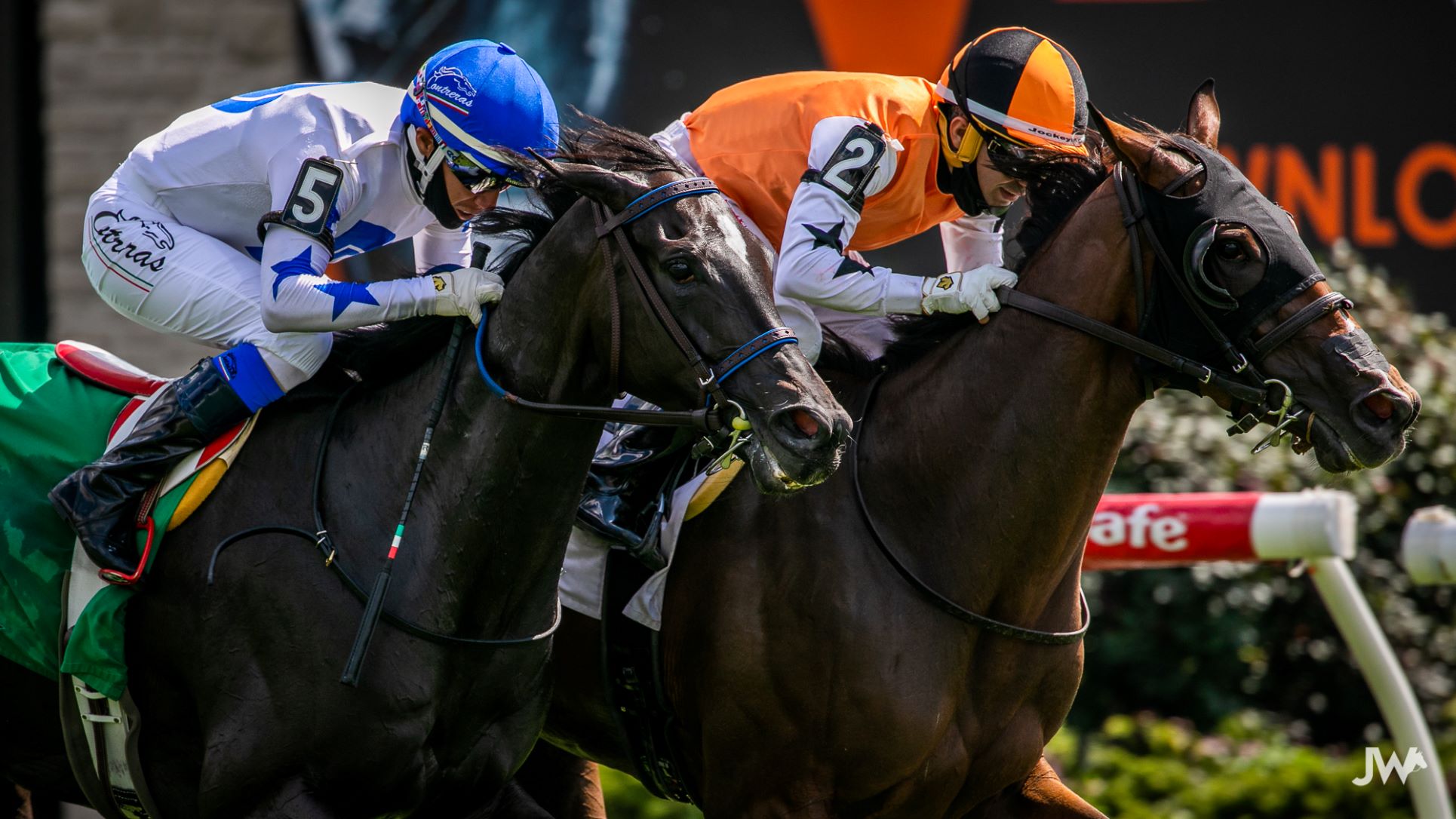 Bet Now – Horse Racing | Ontario Racing - Ontario Racing