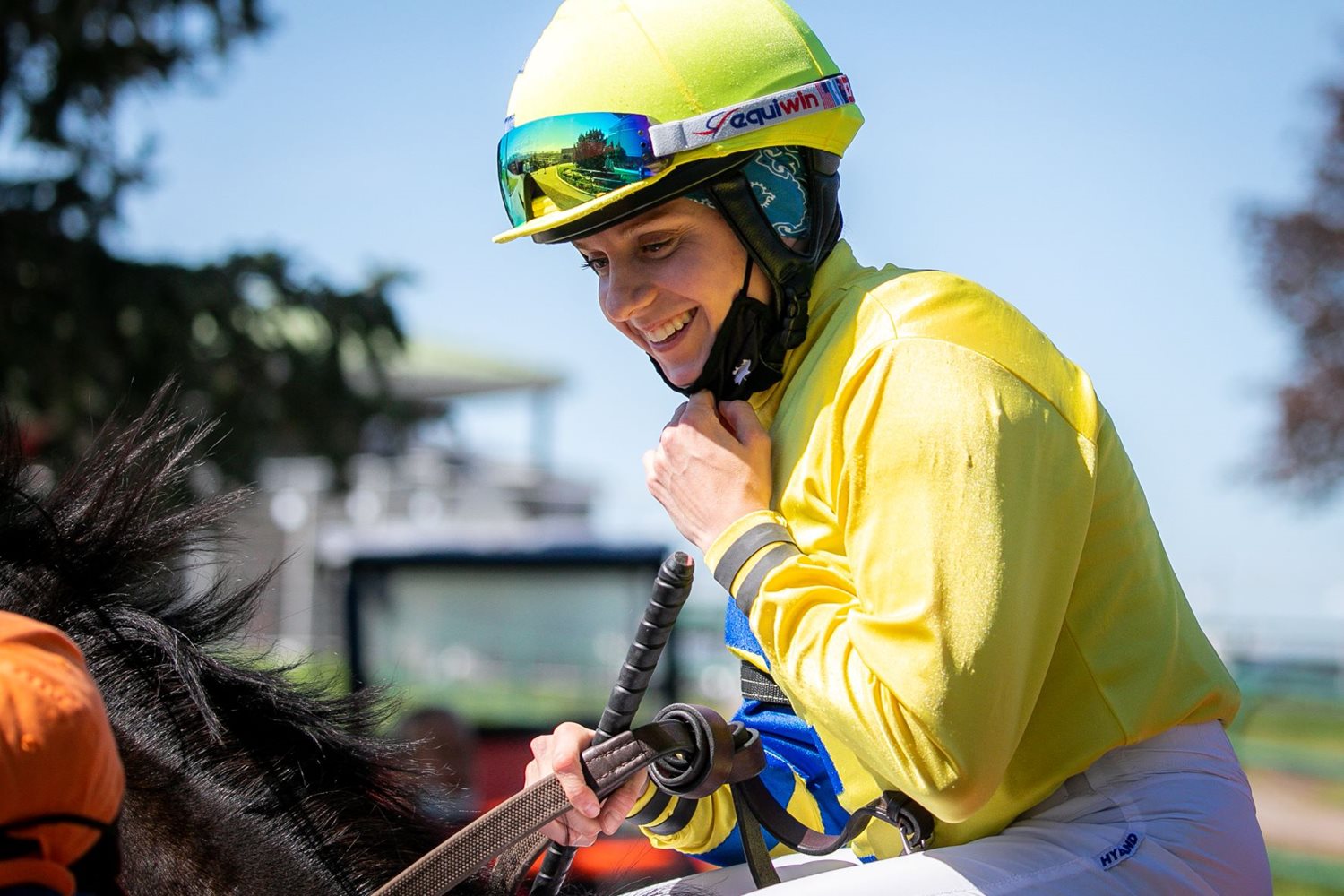 Bet Now – Horse Racing | Ontario Racing - Ontario Racing